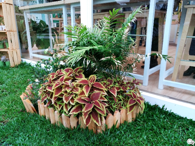 中庸設計、規格不俗 Sharp Z3抓美機開箱- SOGI 手機王