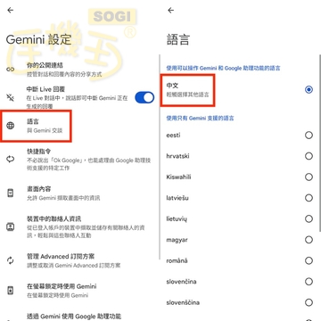 Gemini Live英文版語音升級支援多種聲音！如何設定選擇一次看- SOGI 手機王